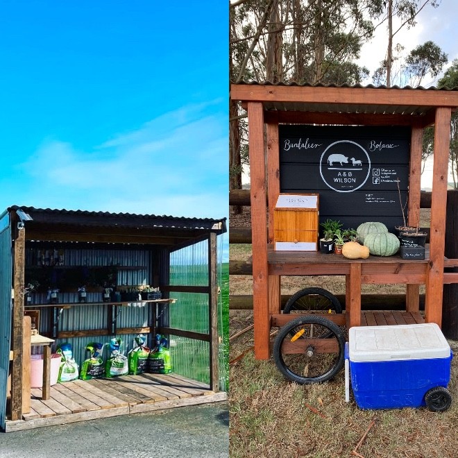 Dolly's Dream - Alisha Wilson